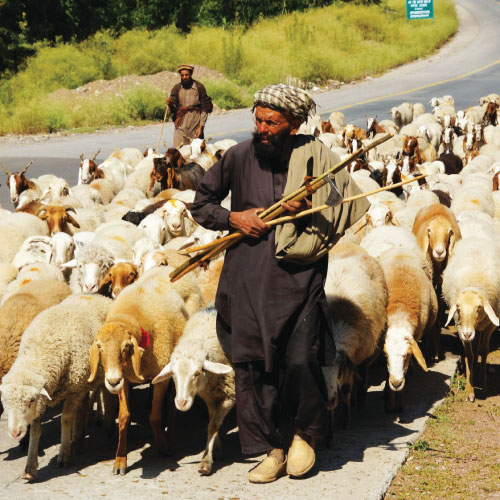 【宣教日引】巴基斯坦 | 賈特穆斯林 Jat Muslims 戰鬥民族 - 紐約基督徒短期宣教訓練中心